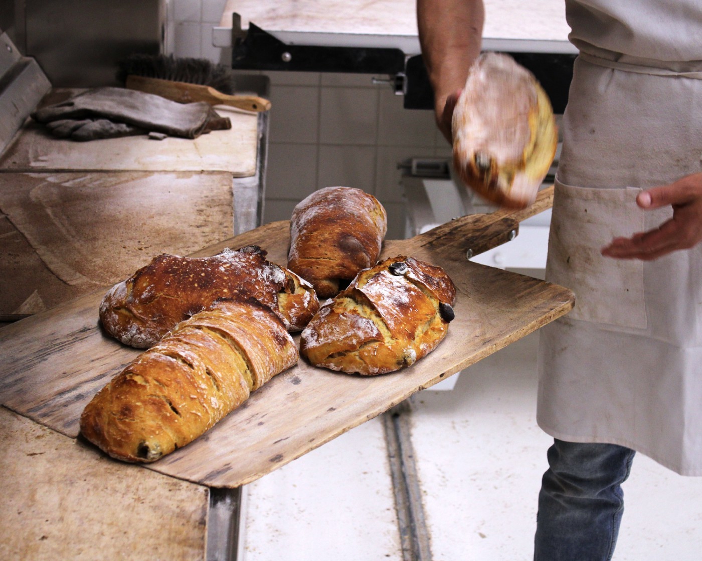 David Napolitano, the Founder of Breadico. - The Beautiful Thinkers Project